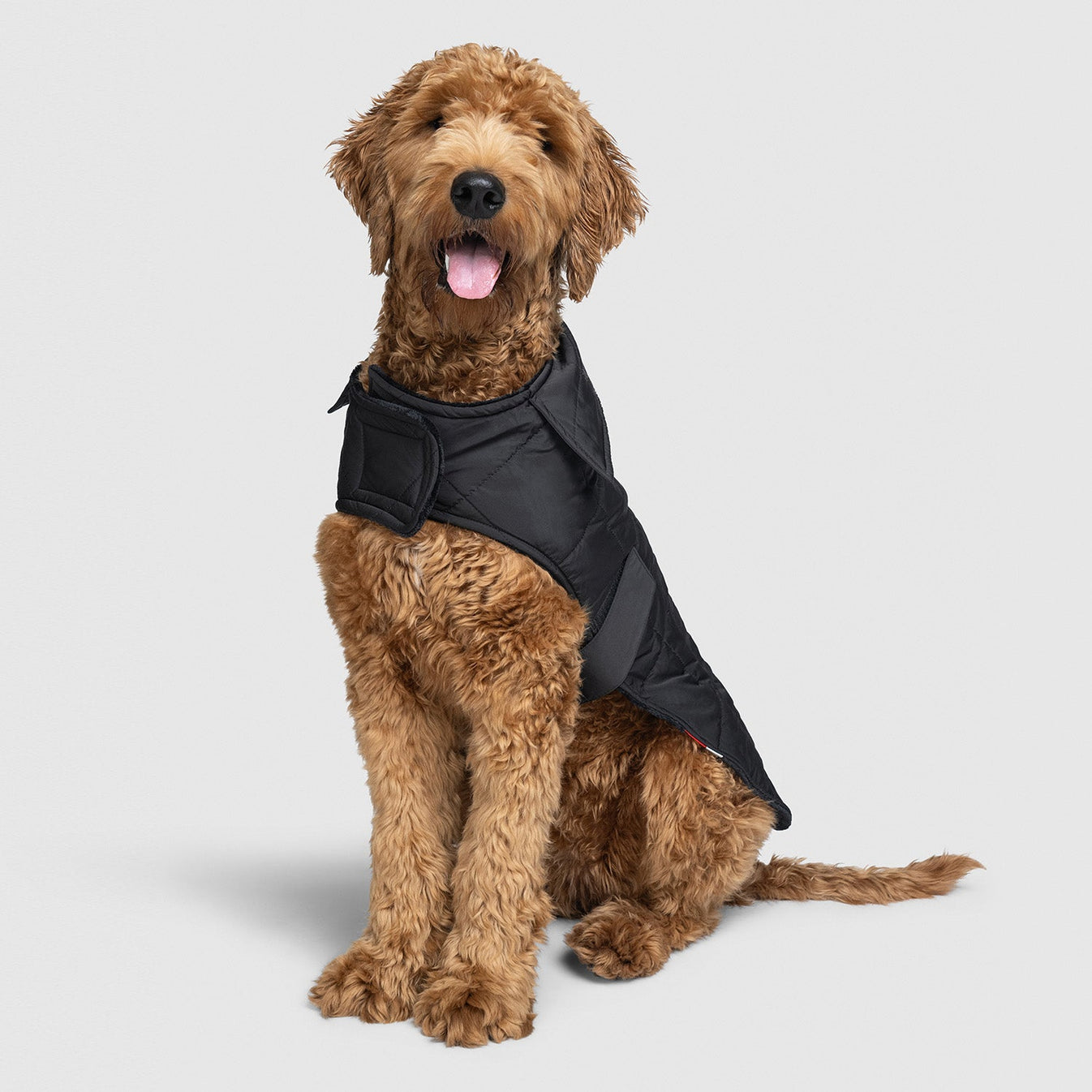 Black Outdoor Dog Jacket – The Oodie
