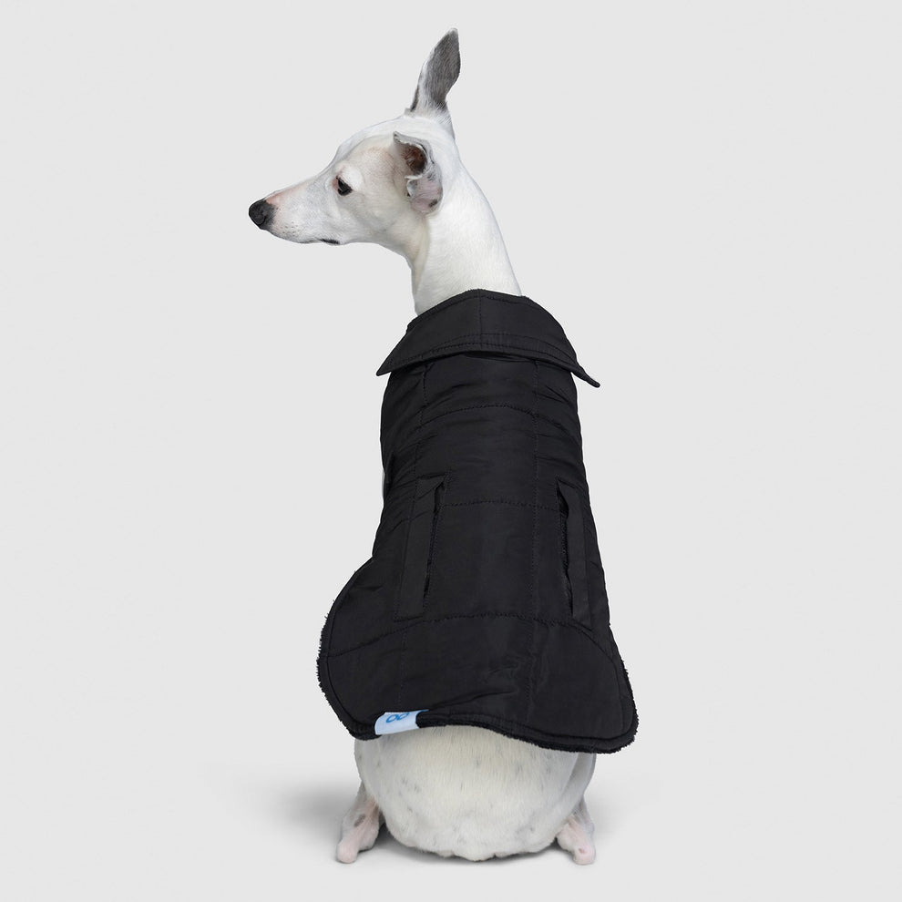 Black Outdoor Dog Jacket – The Oodie