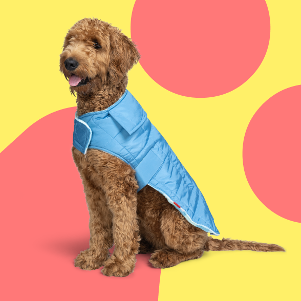 Blue Checkerboard Outdoor Dog Jacket – The Oodie