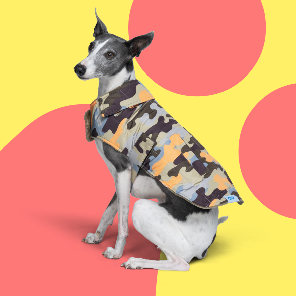 Camo Outdoor Dog Jacket – The Oodie